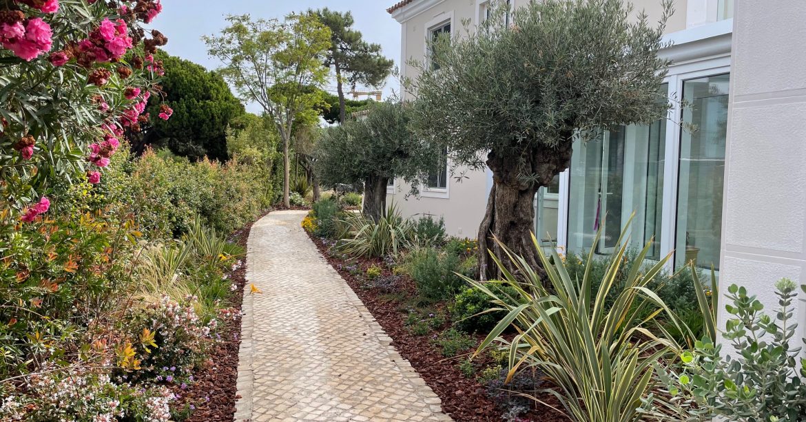 Break Out into Core’s 5 Best Low-Maintenance Landscape Designs – Core ...